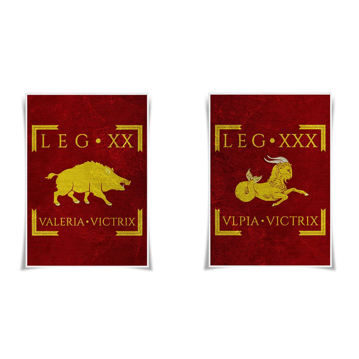 Roman Legion Bull Flag