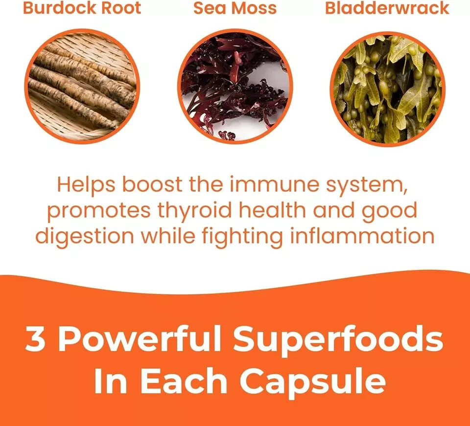 INFINITE AGE 1250mg Sea Moss Advanced Superfood, High-Potency, Vegan ...