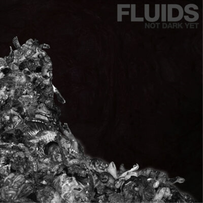 Fluids Not Dark Yet (CD) Album | eBay
