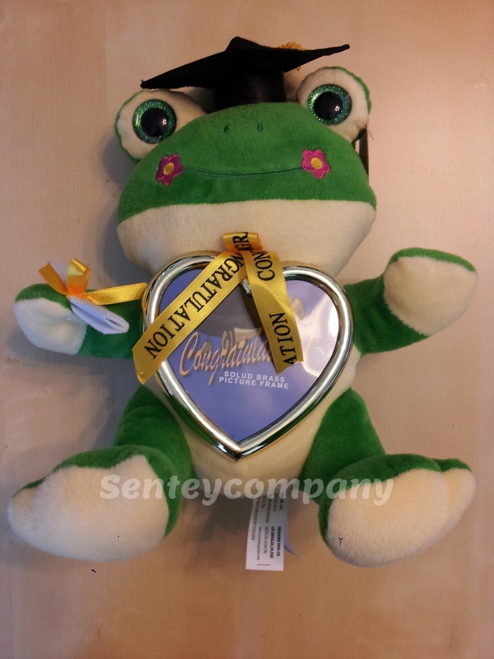 13" tall Graduation Gift Cute Frog w/ Cap Outfit with heart picture ...