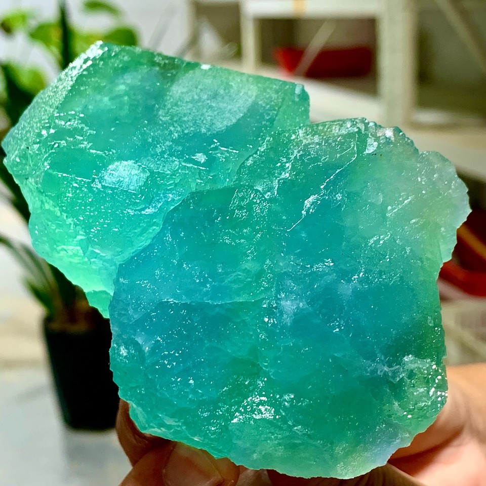 1.15LB Rare transparent green cubic fluorite mineral crystal sample ...