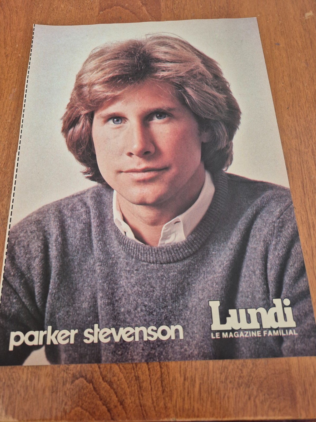 PARKER STEVENSON POSTER COLOR 8 BY 11 inches 1980 | eBay