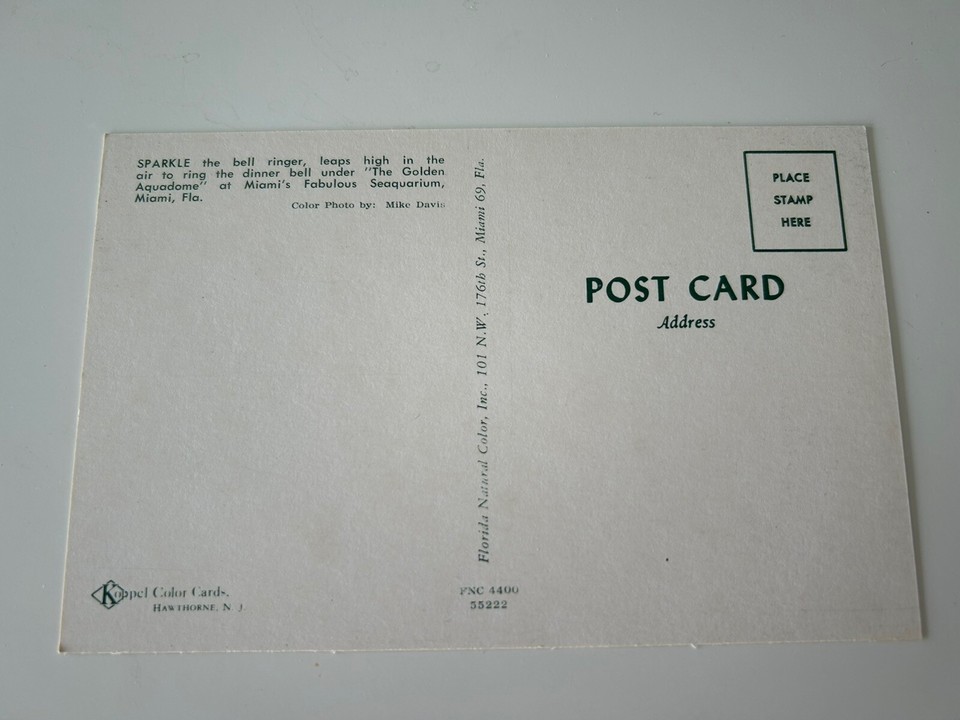 Sparkle the Bell Ringer Rings the Dinner Bell Miami Florida Seaquarium ...