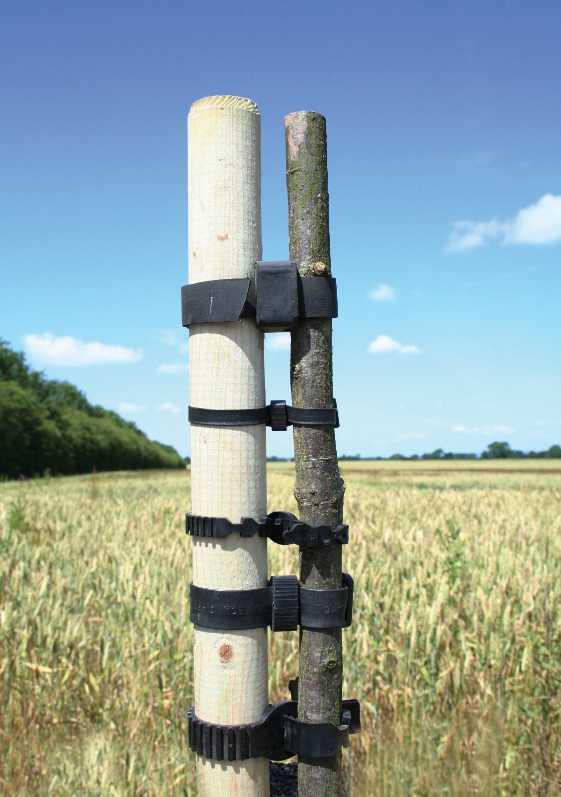 25mm X 50m Webbed Tree Plant Support Strapping Tie | eBay UK