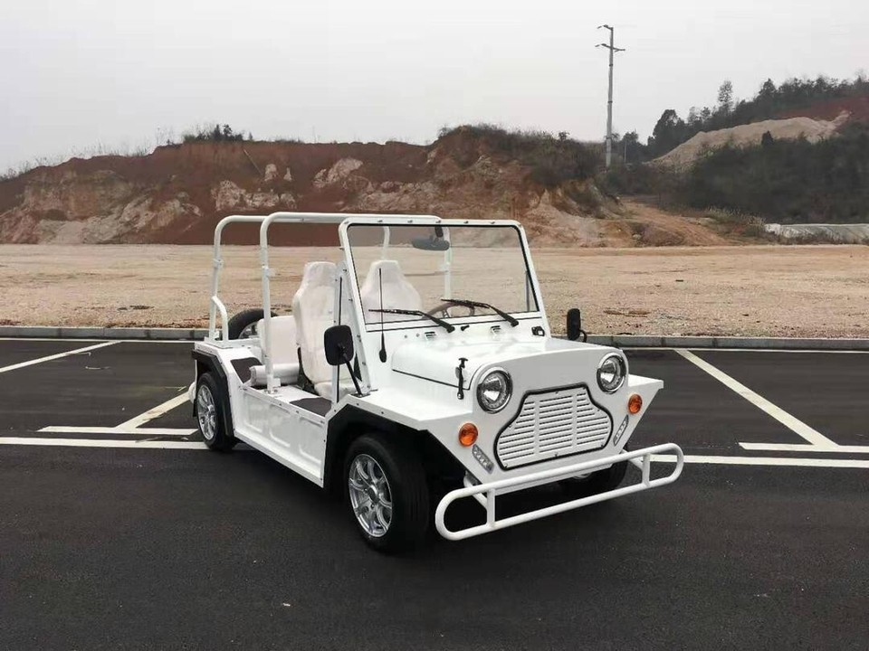 Custom built Mini Moke ITC eJoy aluminum Chassis and Body In short best ...