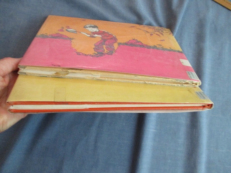 REAL HOLE & TWO DOG BISCUITS Beverly Cleary Mary Stevens HB/DJ ORIGINAL ...