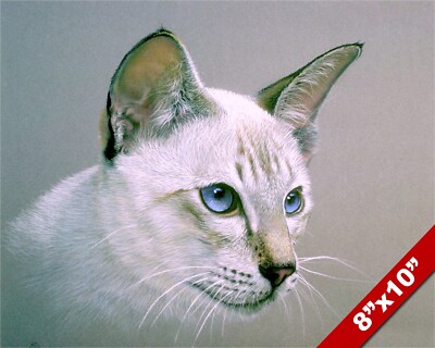 COLORPOINT SHORTHAIR CAT W BLUE EYES ANIMAL CATS PAINTING ART REAL ...