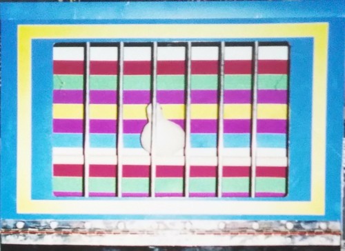 Proline Magic "Custom 6 Doves to Dog" with ATA case | eBay