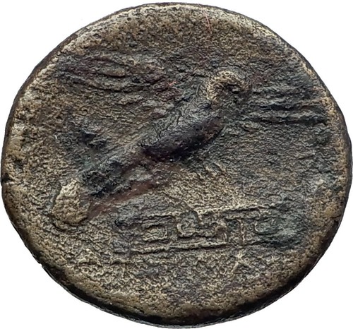 APAMEIA in PHRYGIA 133BC Athena Eagle Dioscuri Caps Ancient Greek Coin ...