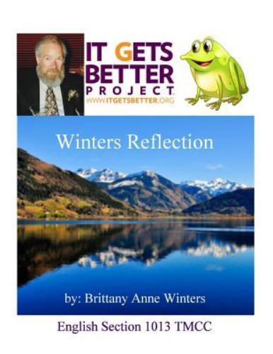 Winters Reflection by Brittany Winters (2014, Trade Paperback) for sale online | eBay