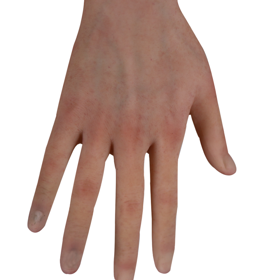 Dokier Silicone Female Hands Model Lifesize Mannequin Display Fake ...