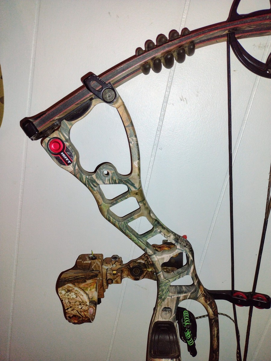 Precio De Vector De Hoyt 2023