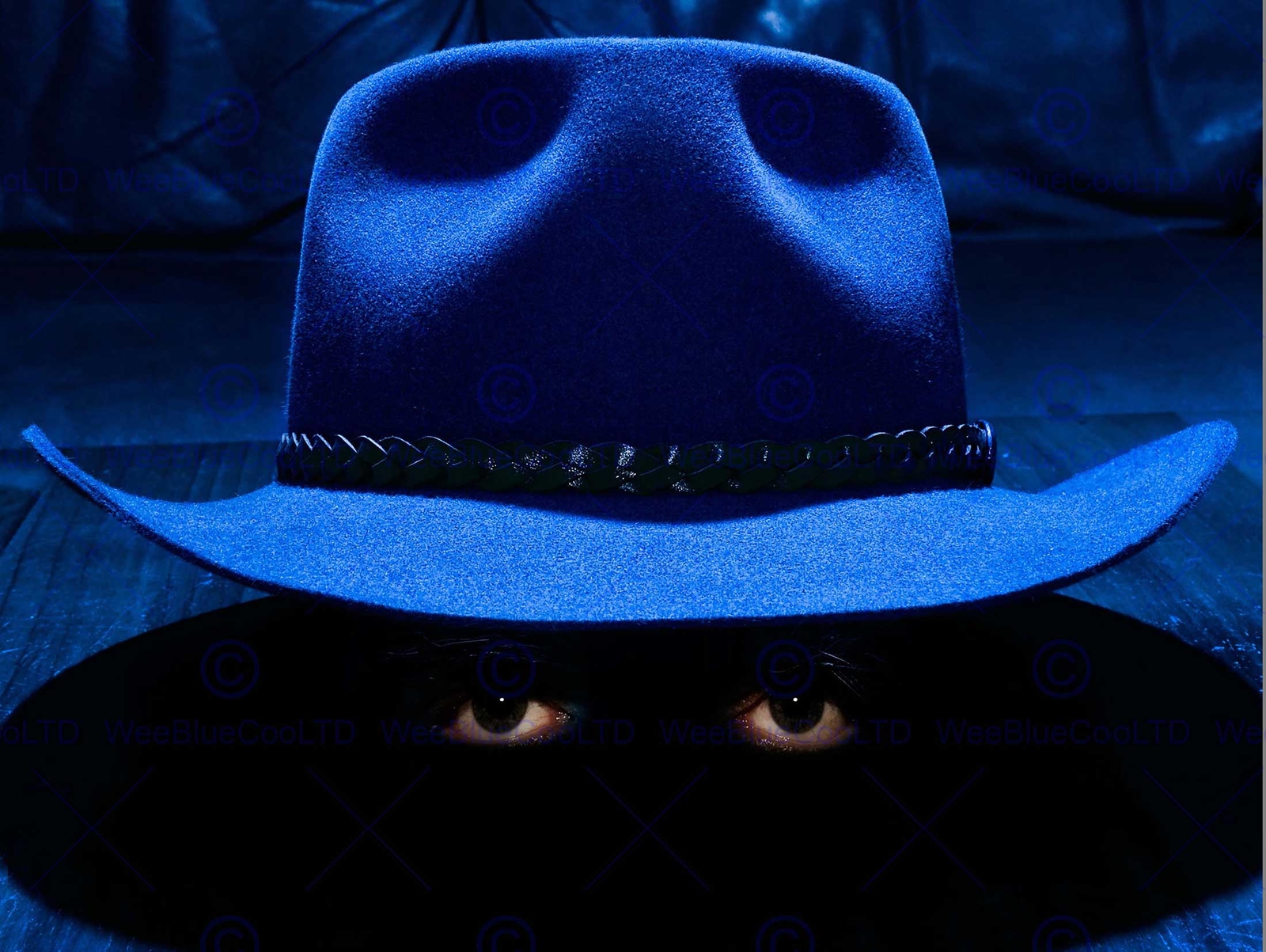 SPOOKY FEDORA EYES MAN BLUE HAT PHOTO FINE ART PRINT POSTER BMP124B ...