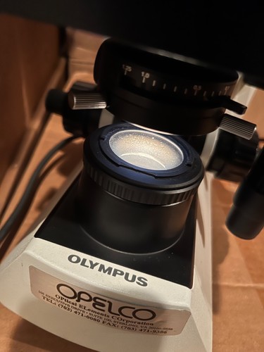 Olympus CX31 Upright Biological Microscope for sale online | eBay