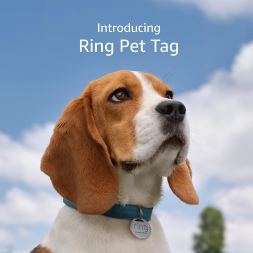 Pet Tag | Easy-To-Use Tag with QR Code | Real-Time Scan Alerts ...