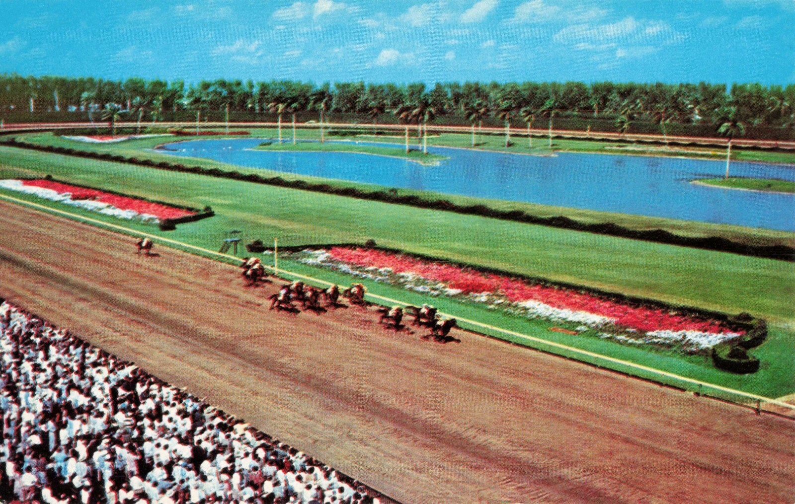 Postcard Race at Hialeah Race Course Florida | eBay