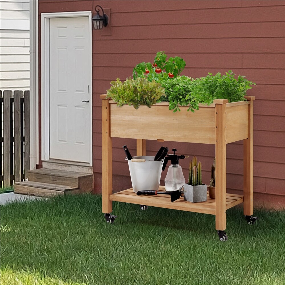 Hochbeet mit Rollen Pflanzkasten Blumenkübel Kräuterbeet Frühbeet Holz ...