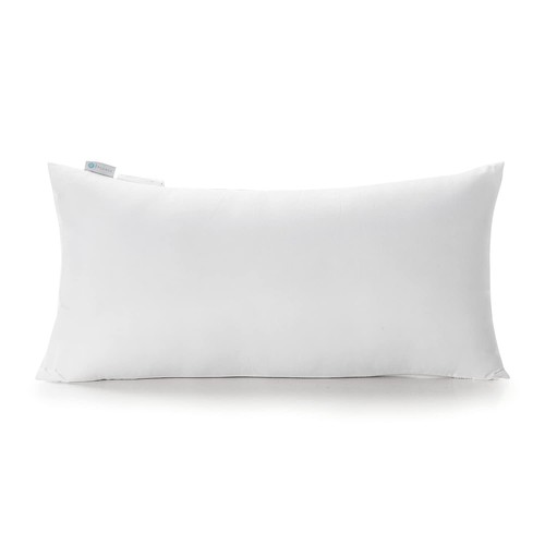Polyester Decorative Rectangle Throw Pillow Inserts, Hypoallergenic ...