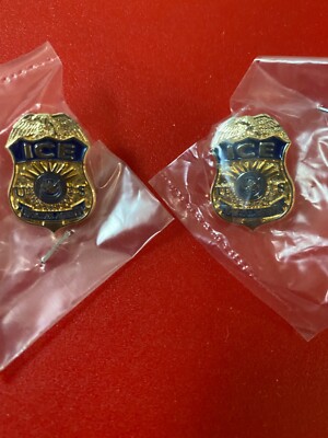 TWO Immigration and Customs Enforcement HSI Special Agent Mini Badge ...