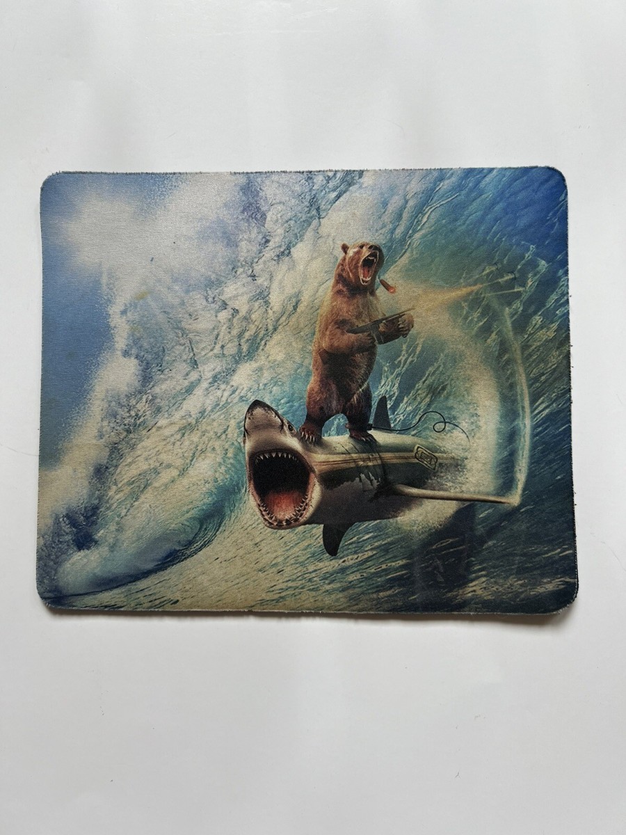 Bear Riding Shark Wallpaper