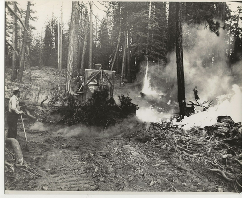 Media Photo of WPA Western Pine Association Logging in Woods Pack River ...