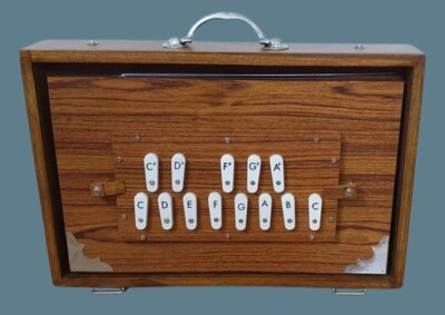 Shruti Box – 15"x10"x3", 440 Hz, Teak Wood Ply Surpeti with Bag ...