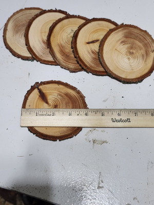 4 Inch Fresh Cut 1/8 - 1/4 " Thick Wood Rounds with Tree Bark 10pc ...