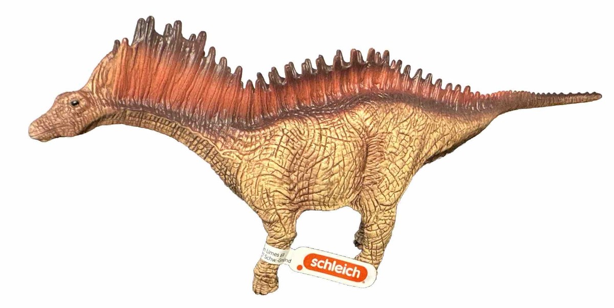 Dinosaur Tog Amargasaurus Dinosaurs Amargasaurus Stock Illustrations