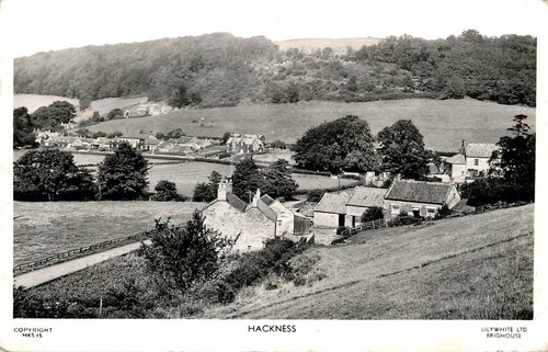 HACKNESS VILLAGE - POSTCARD | eBay