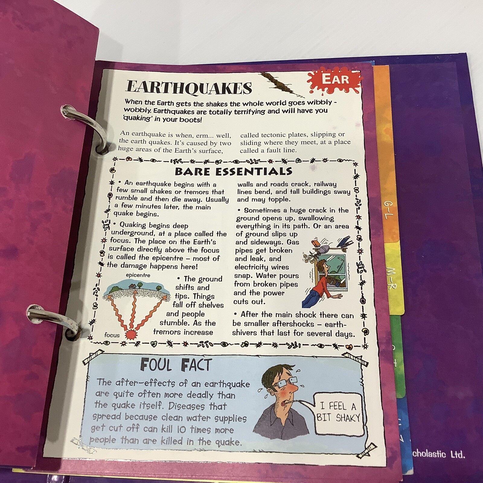 The Horrible Science Collection A-Z FOUL FACT FILE Binder With 18 ...