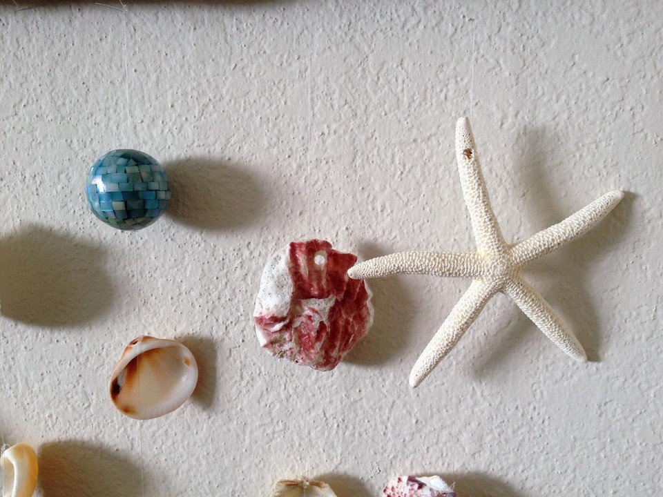 Shell Wind Chimes (Z) Starfish Seashell wind chimes Sun catcher | eBay