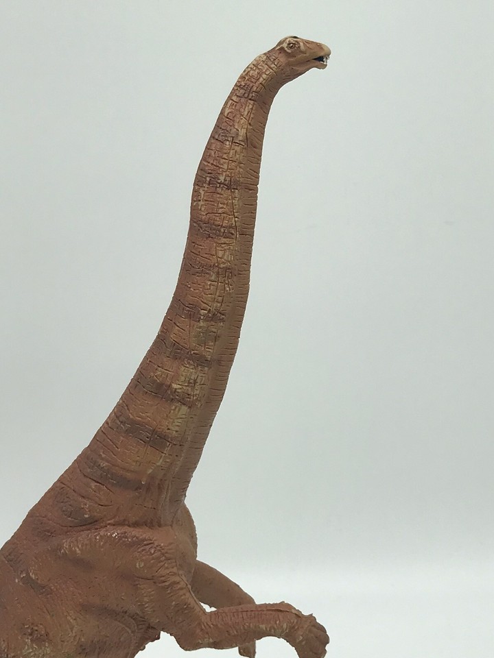 Diplodocus Dinosaur Figure Model Museum of Science Boston 1994 Retired ...