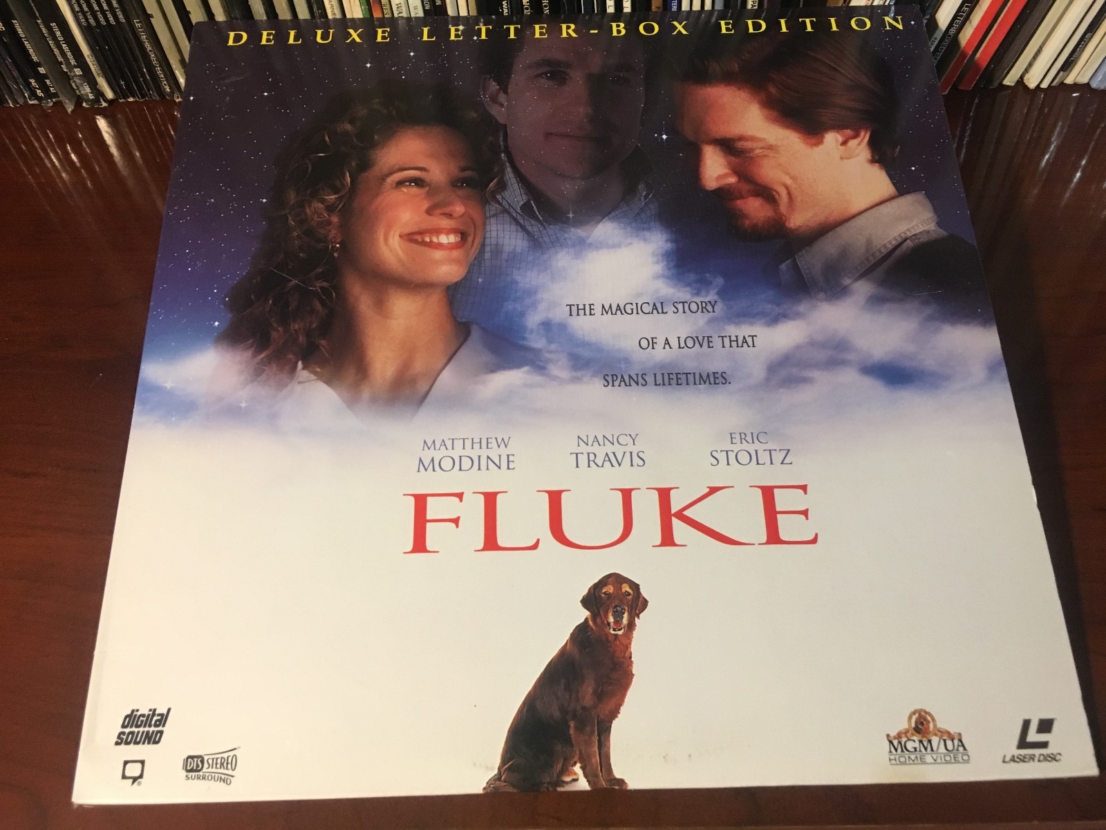 Laserdisc FLUKE 1995 Matthew Modine Nancy Travis Deluxe Letter-Box ...