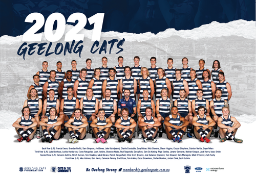 GEELONG CATS TEAM PLAYER POSTER,Laminated,AFL FOOTBALL PREMIERS ...