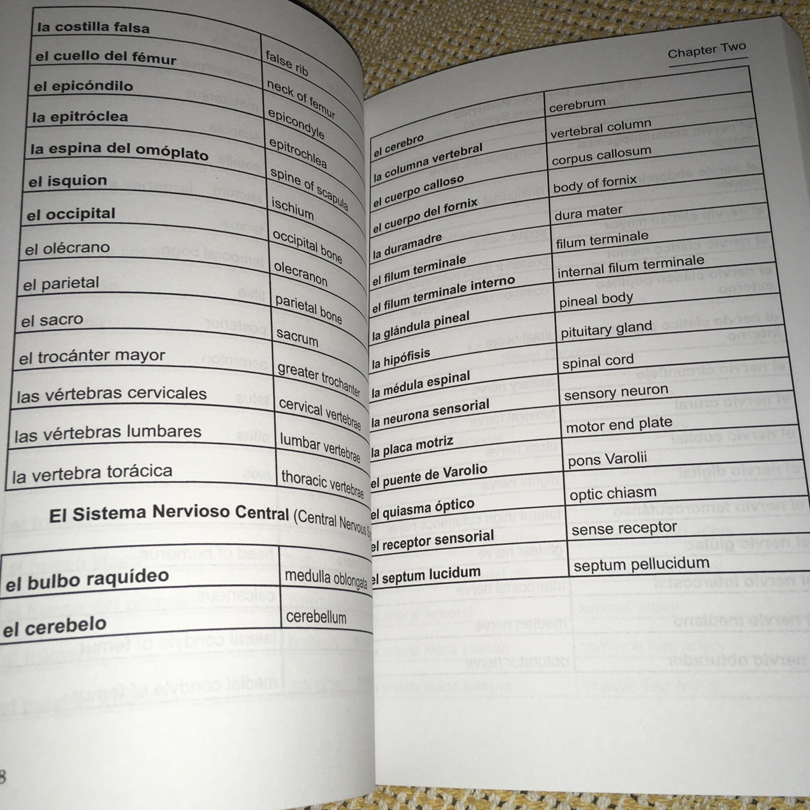 Spanish for Medical Professionals : Essential Spanish Terms and Phrases ...