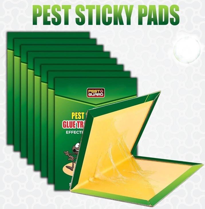 Pest Sticky Boards Glue Traps Pads Multi-Use Sticky Boards insects ...