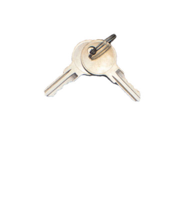 Replacement Keys for Our Shed Locks T Handles and L handles | eBay
