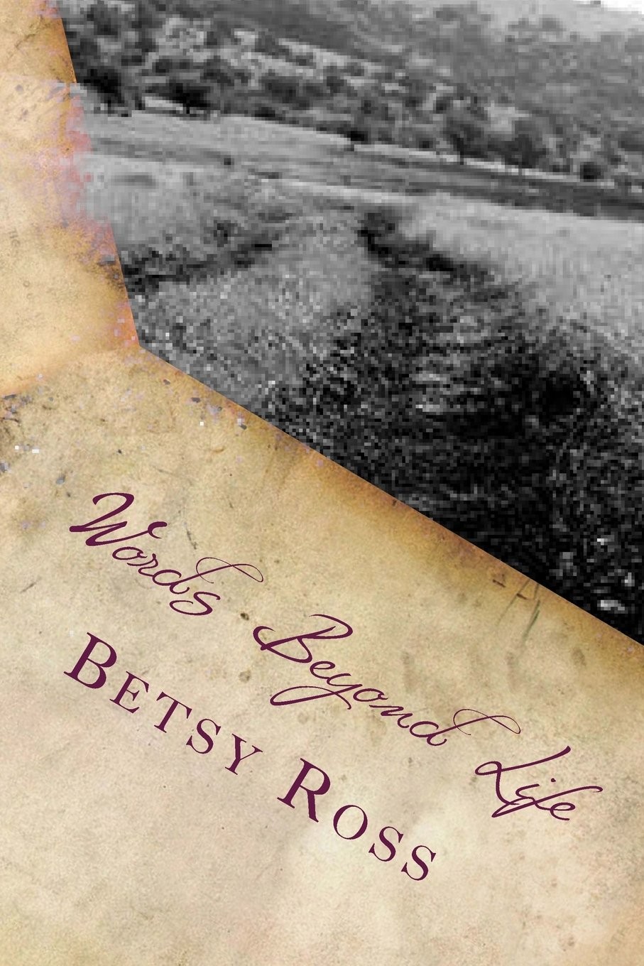 WORDS BEYOND LIFE: POETRY FOR THE HEART BY Betsy Ross PAPERBACK **NEW ...