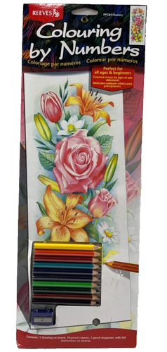 NEW 1990s Reeves Flowers PPCB4 Colouring By Numbers Set Beginners ...