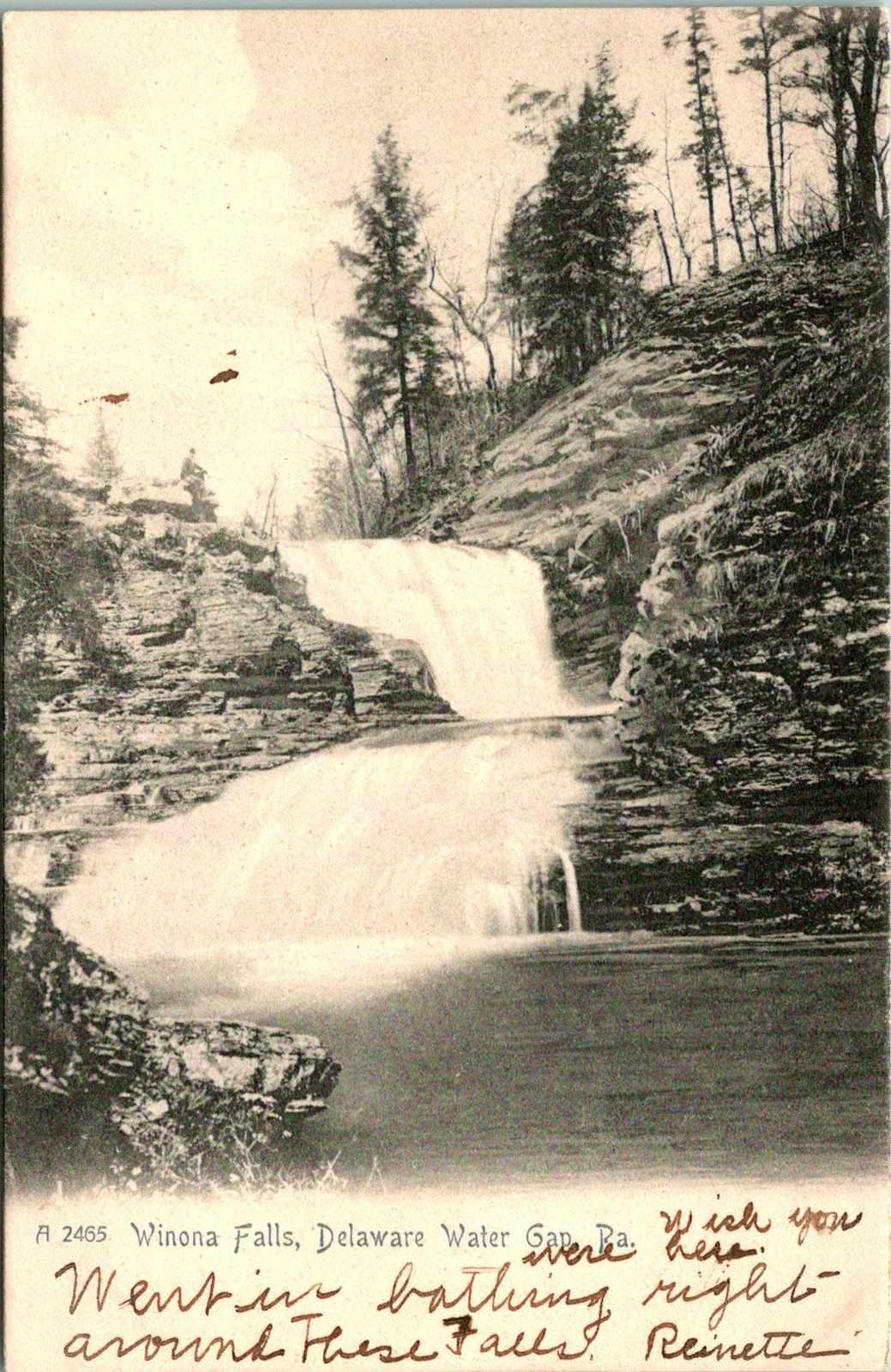 Delaware Water Gap PA Winona Falls Black White Postcard used (13218) | eBay