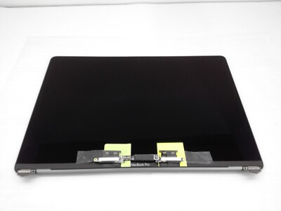 Genuine Apple LCD Screen Assembly 15" MacBook Pro A1707 2016 2017 ...