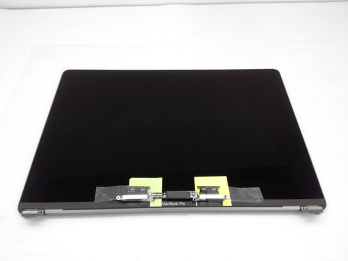 Genuine Apple LCD Screen Assembly 15" MacBook Pro A1707 2016 2017 ...