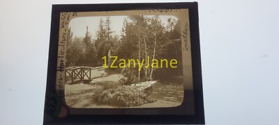 A55 Glass Magic Lantern Slide CHICAGO'S WORLD FAIR 1933-34 HORTICULTURE ...