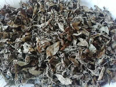 SCENT LEAVES (Nchanwu, Efirin) 100g - Dried Quality. Aromatic Herb ...