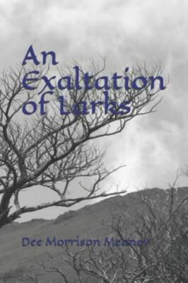 An Exaltation of Larks: Book 3 Crone by Meaney, Dee Morrison, Brand New ...