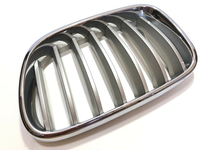 Kidneys Grille Front Left 51117210725 BMW X3 F25 for sale online | eBay