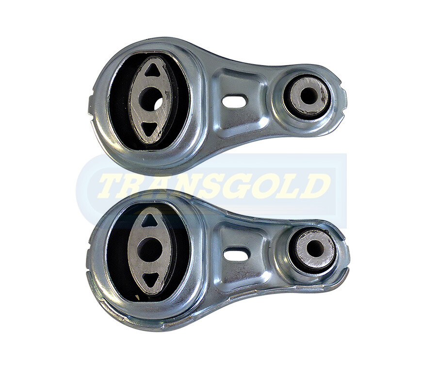 Transgold Engine Mount TEM3287 suits Renault Trafic 2.0l Rear Lwr | eBay