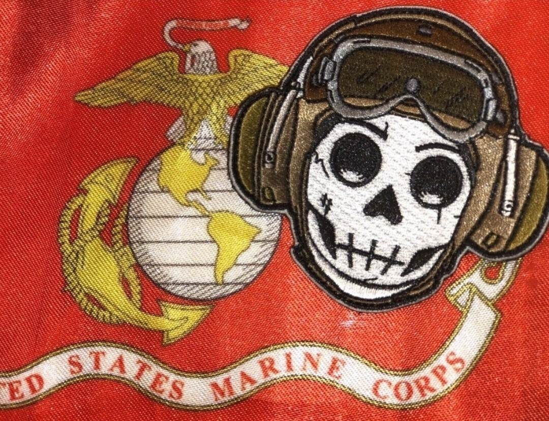 Flightline Air wing Plane Captain Patch brown Sugar Skull Military High ...