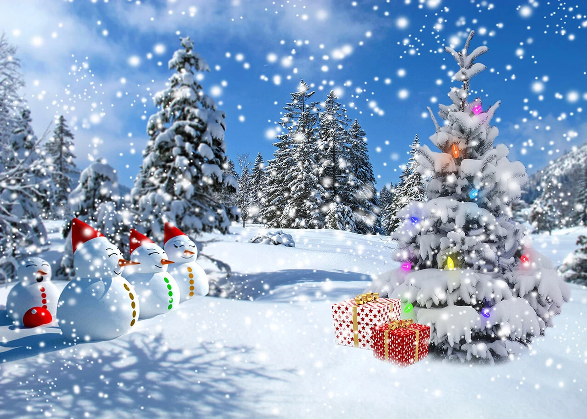 Snow Christmas Photography