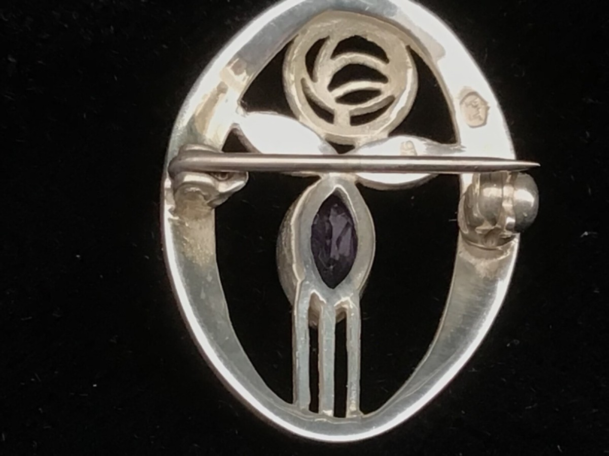 An Sióg Bradach Silvermist Easy Being A Winner | Silverbacks